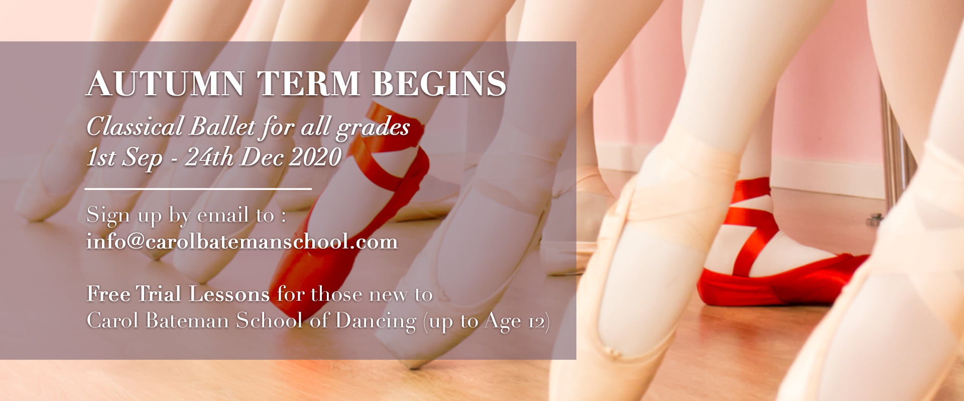 Carol Bateman School of Dancing - Ballet, Jazz, Toddler